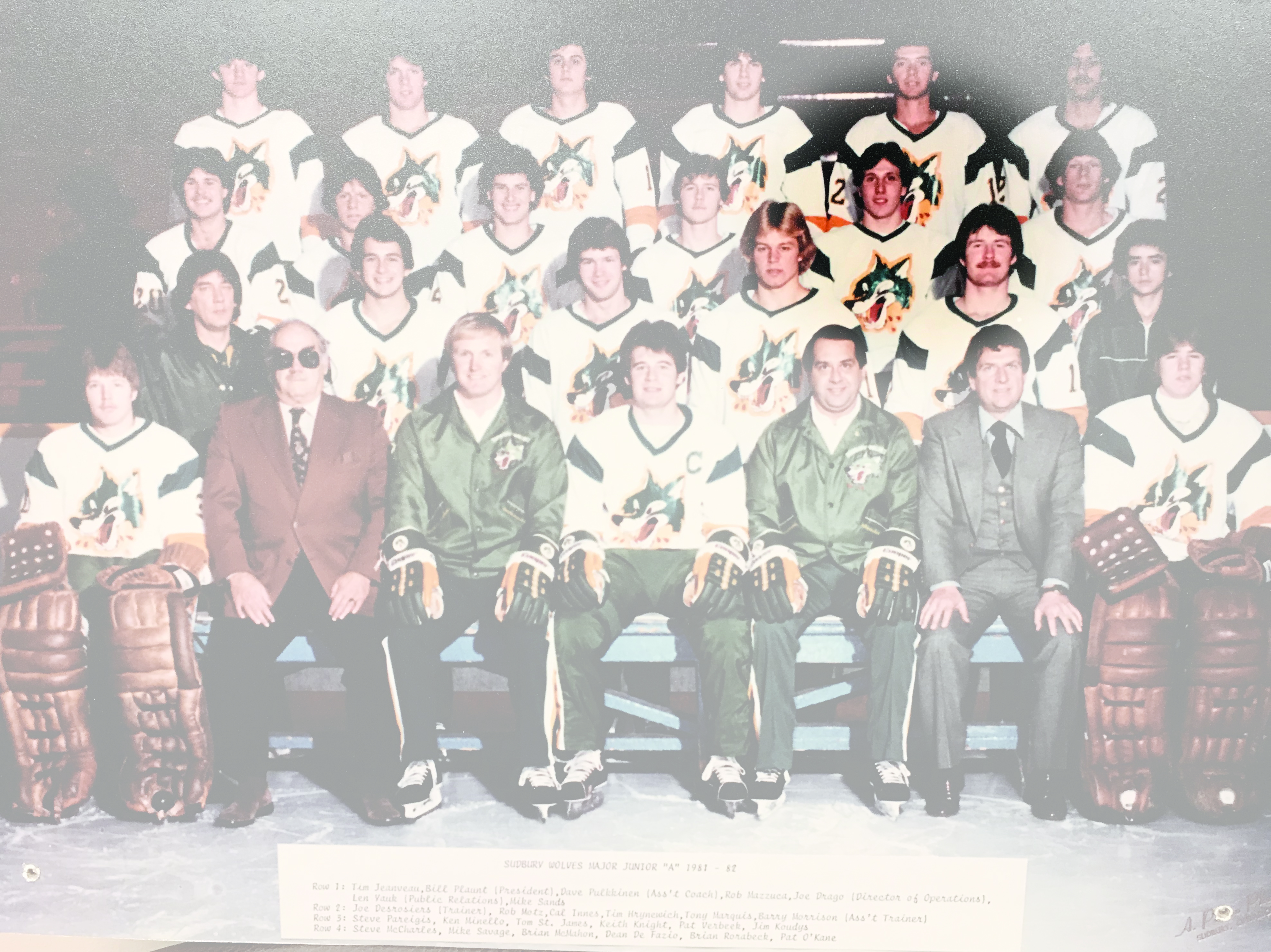Pat Verbeek: Wolves Fire, Flash and Finesse - From Record Books to ...