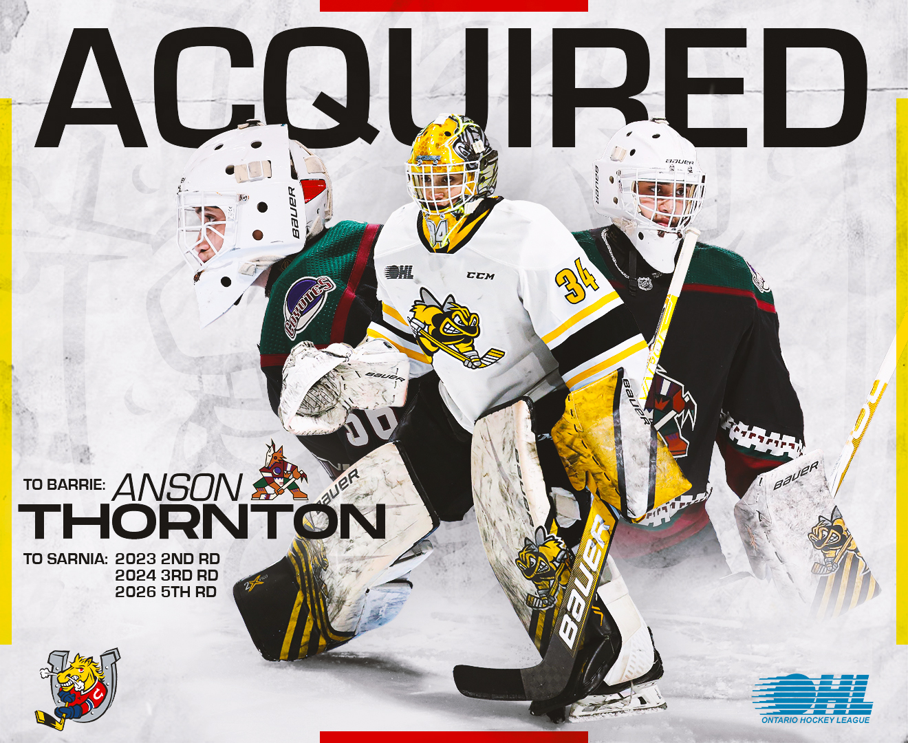 Colts Acquire Arizona Coyotes Goalie Prospect, Anson Thornton, from ...
