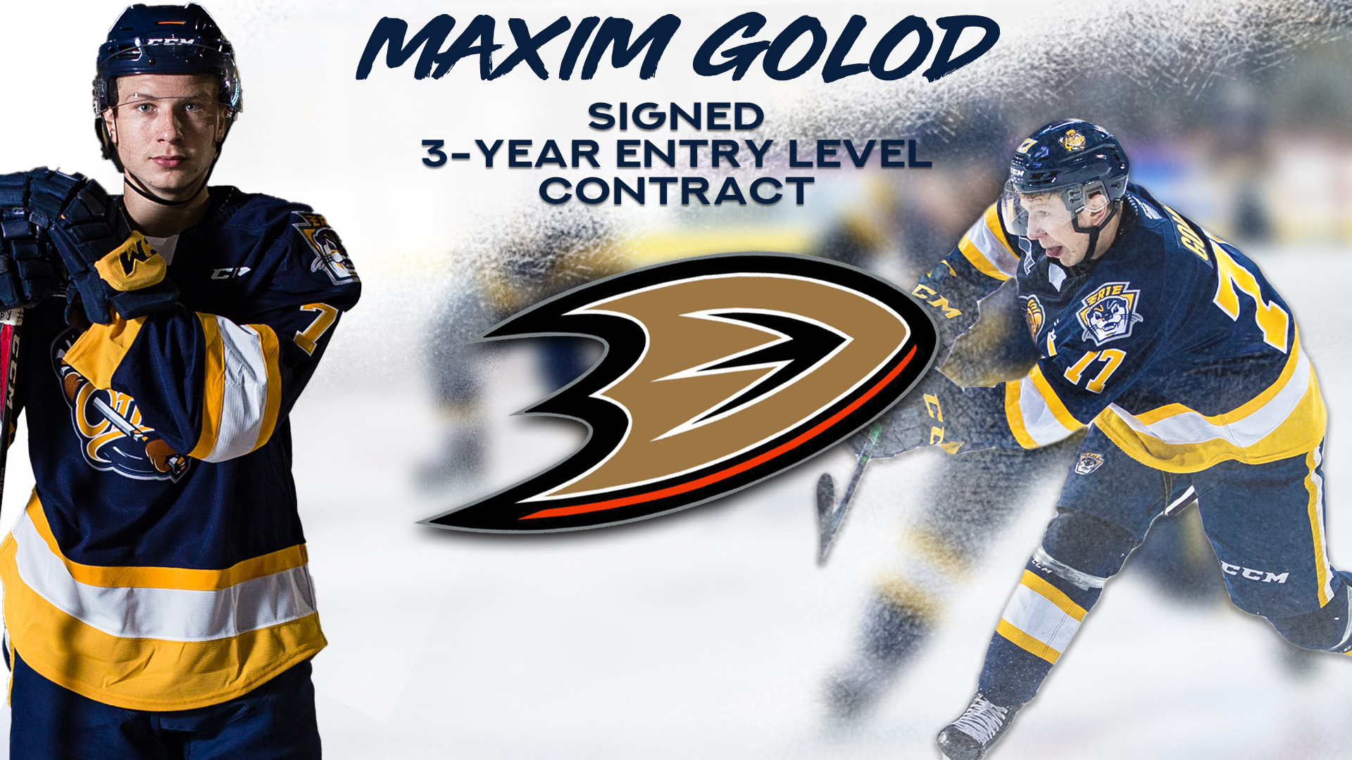 Maxim Golod Signs Entry Level Contract with Anaheim Ducks - Erie Otters
