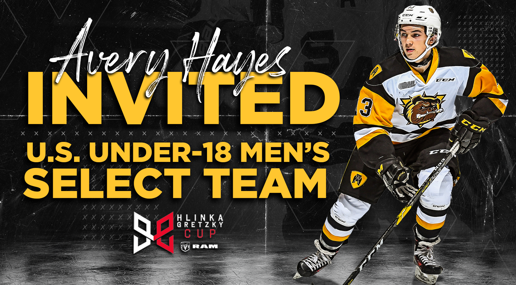 AVERY HAYES TO REPRESENT USA AT HLINKA-GRETZKY CUP - Brantford Bulldogs