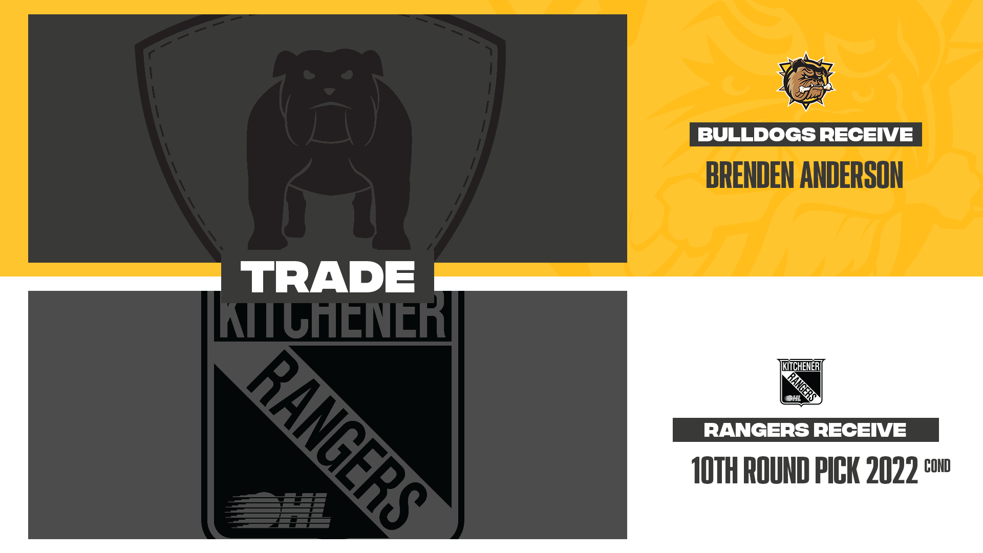 BULLDOGS ACQUIRE BRENDEN ANDERSON FROM RANGERS - Brantford Bulldogs