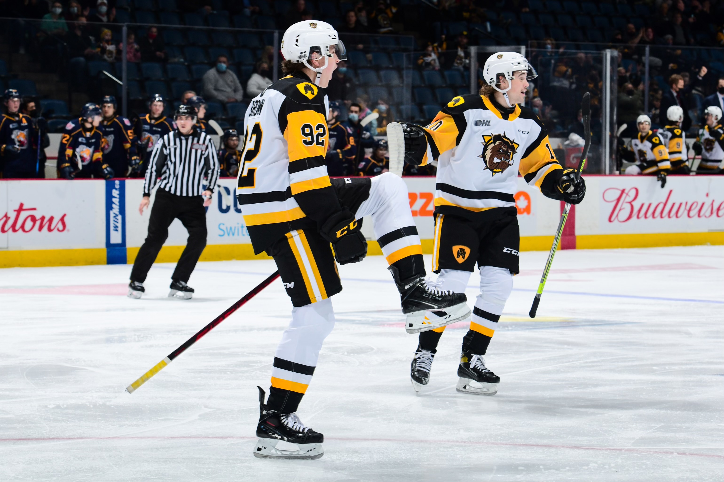 COLE BROWN SCORES FIRST OHL GOAL IN OT LOSS TO COLTS - Brantford Bulldogs