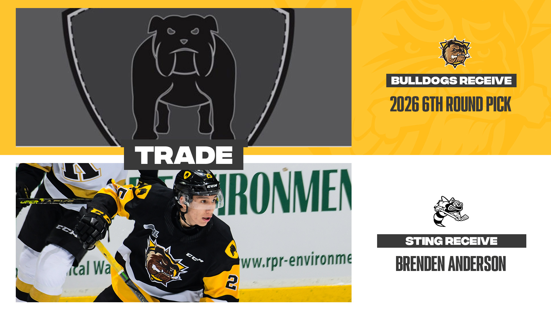 BULLDOGS ACQUIRE DRAFT SELECTION FROM STING - Brantford Bulldogs