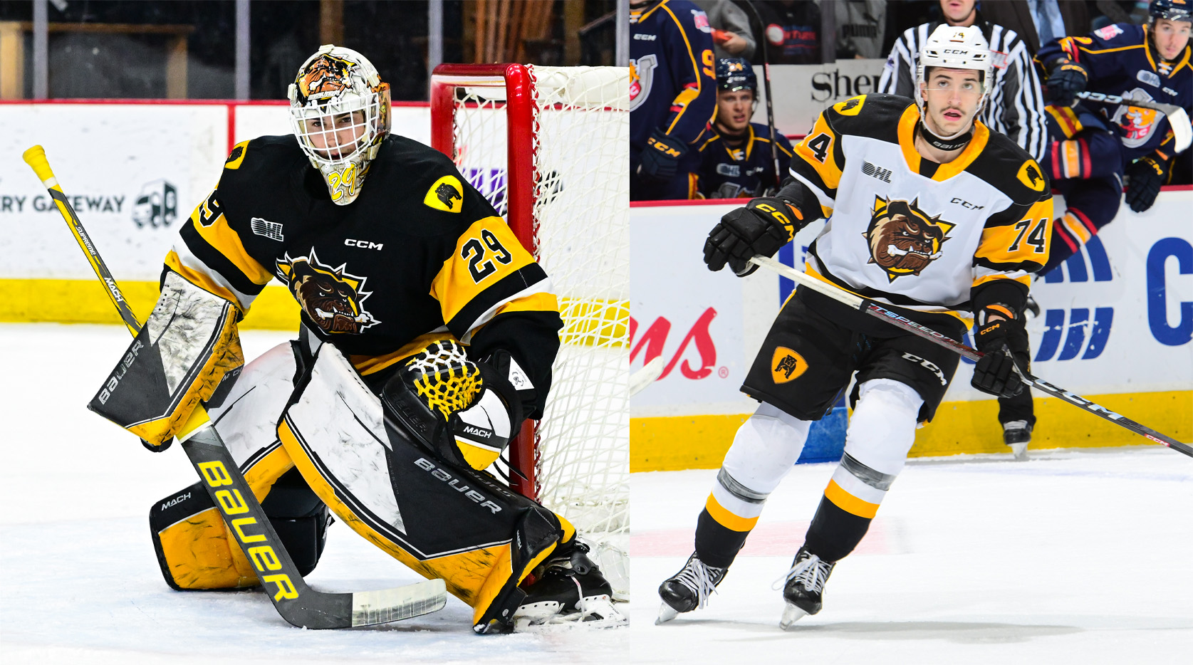 BULLDOGS PREPARE FOR BIG 2023 OHL DRAFT - Brantford Bulldogs