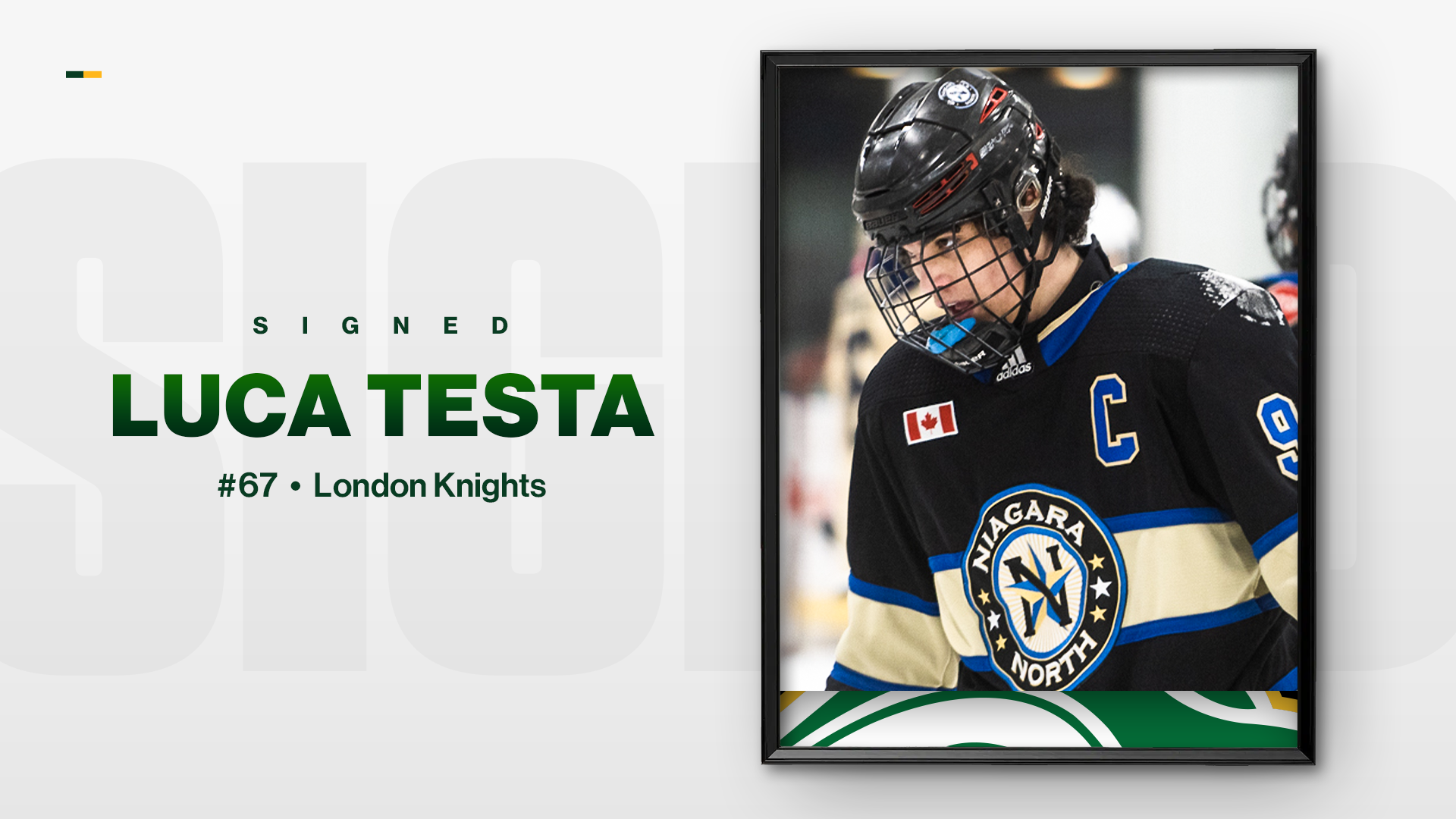 KNIGHTS SIGN TESTA - London Knights