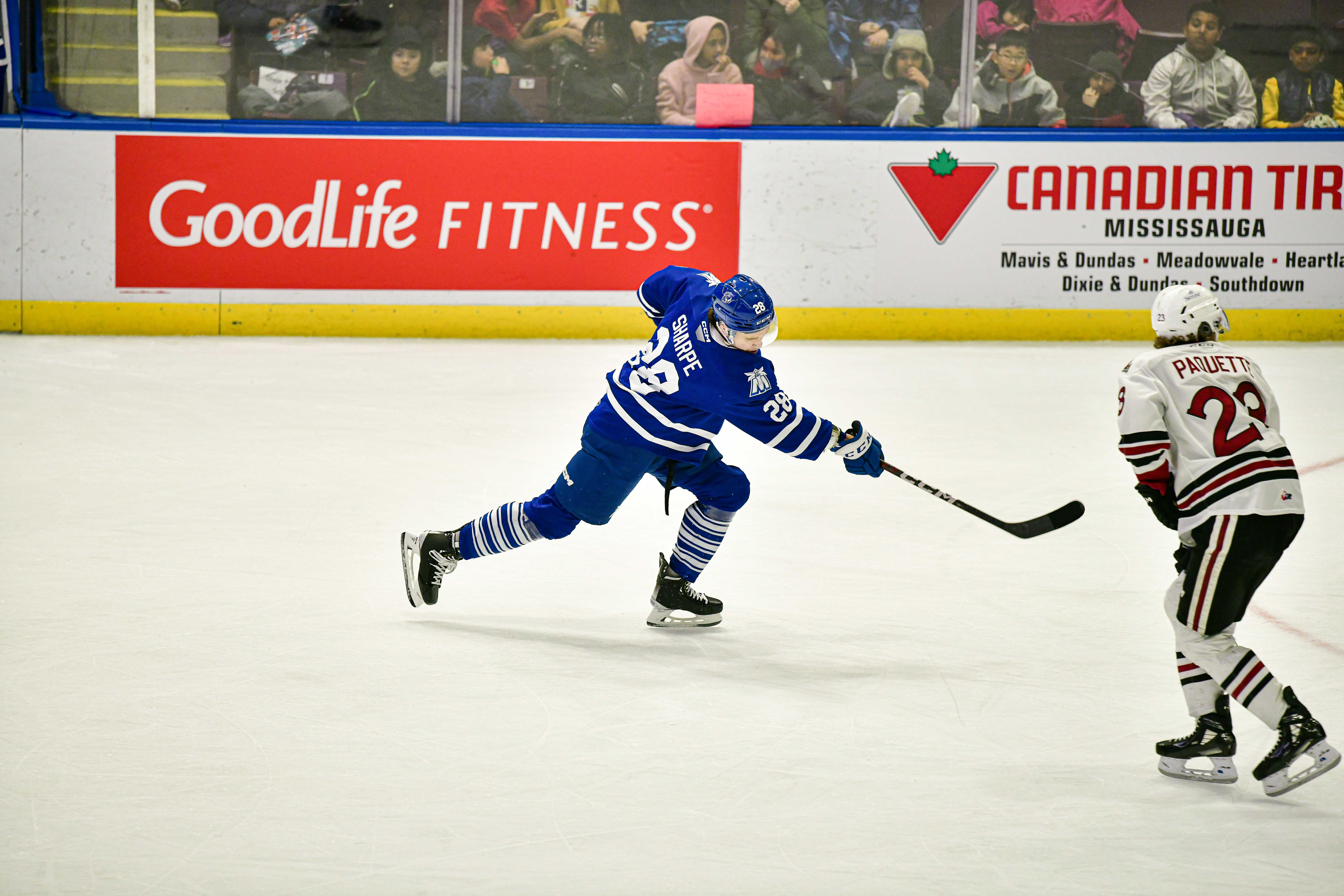 Year in Review: Chas Sharpe - Brampton Steelheads