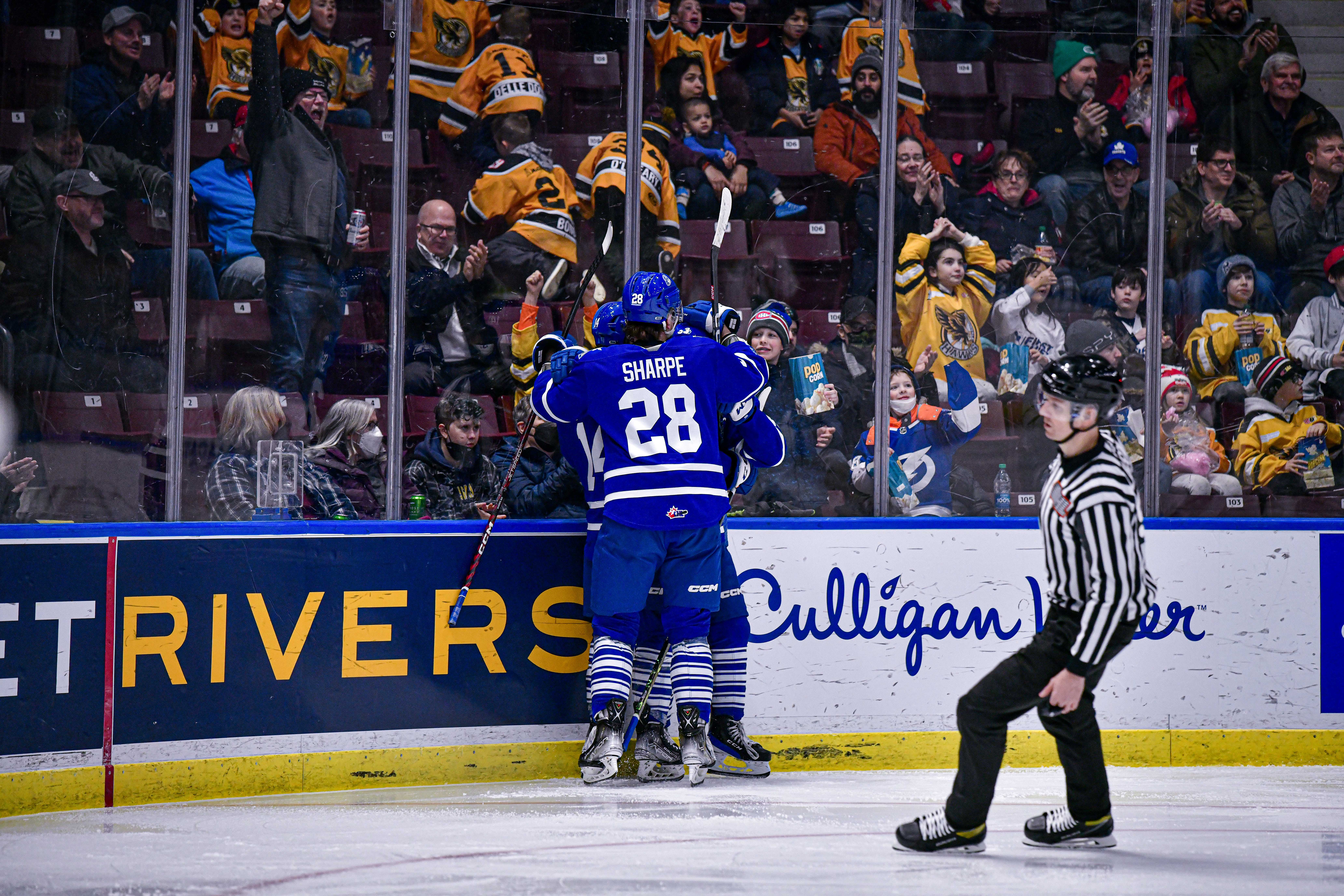 Year in Review: Chas Sharpe - Brampton Steelheads