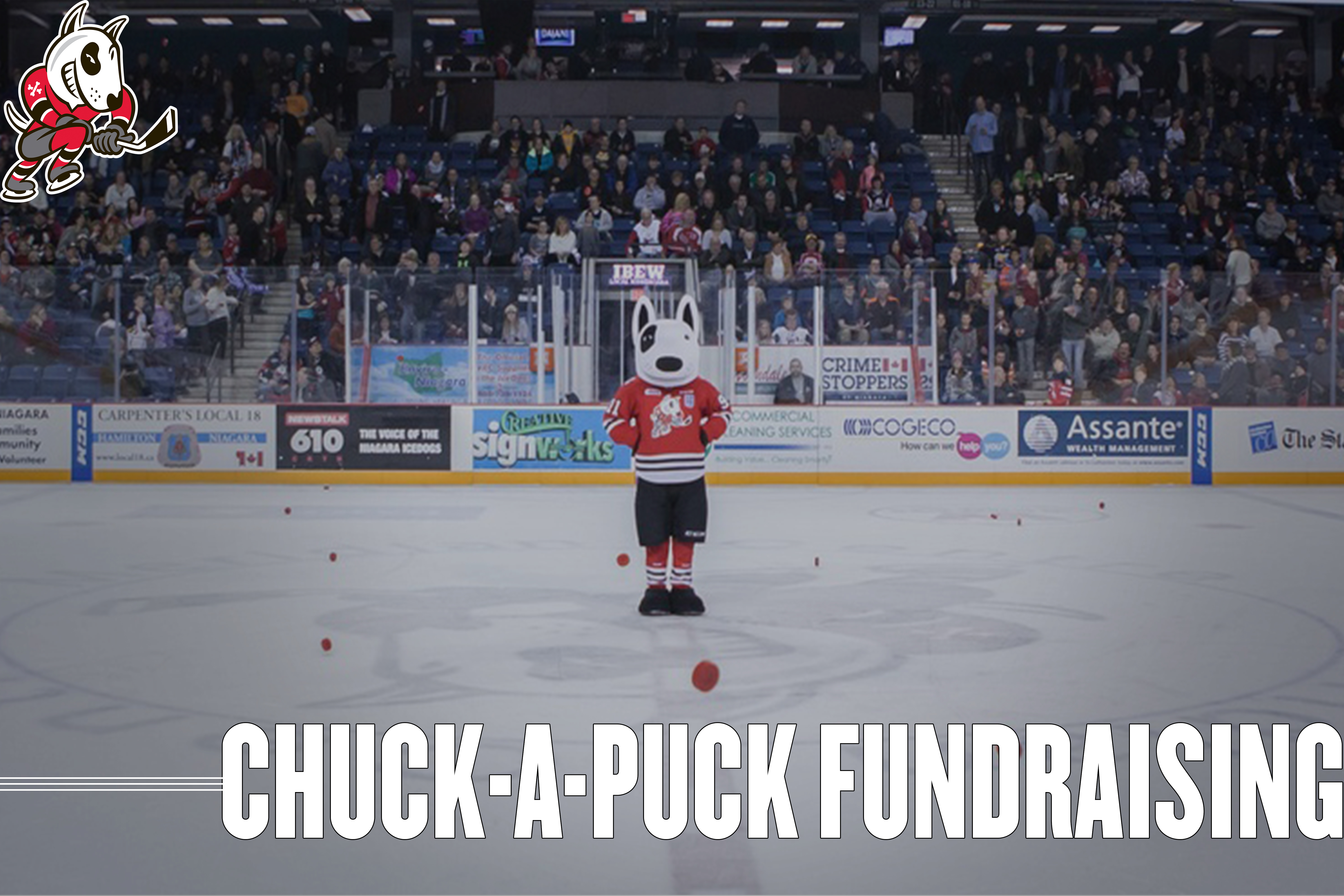 Chuck-A-Puck Fundraising - Niagara IceDogs