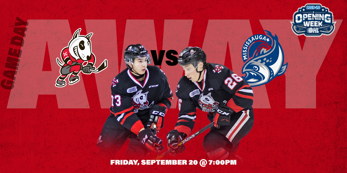 Niagara IceDogs hit the road to take on Steelheads to complete weekend ...