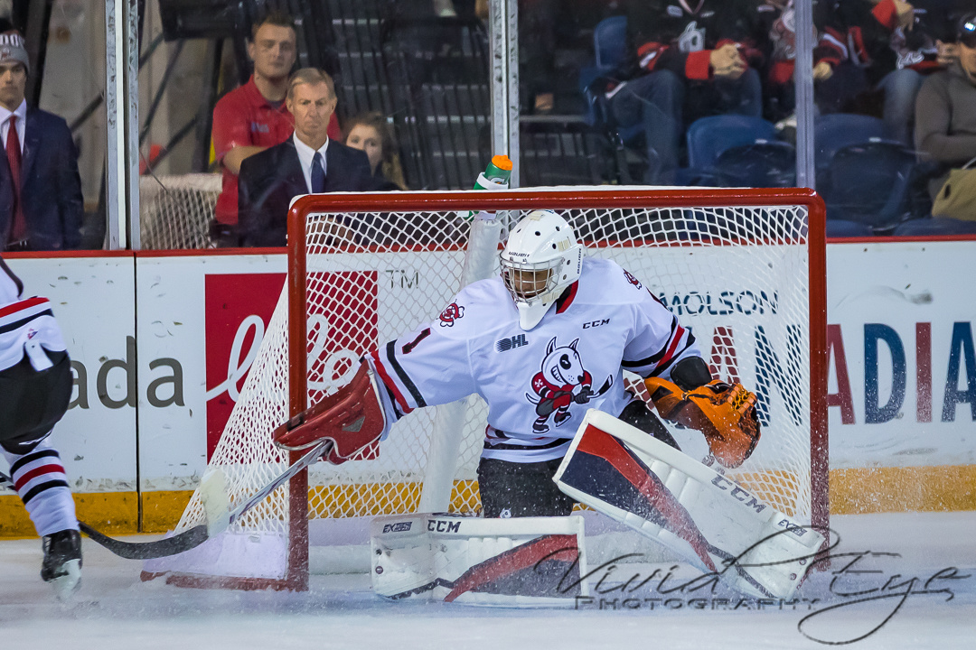 GAME PHOTOS Niagara IceDogs vs Oshawa Generals - September 26th, 2019 ...