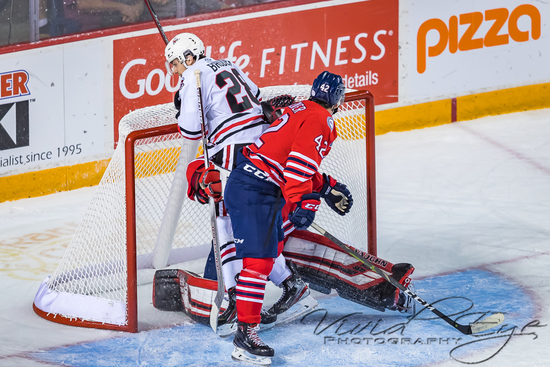 GAME PHOTOS Niagara IceDogs vs Oshawa Generals - September 26th, 2019 ...