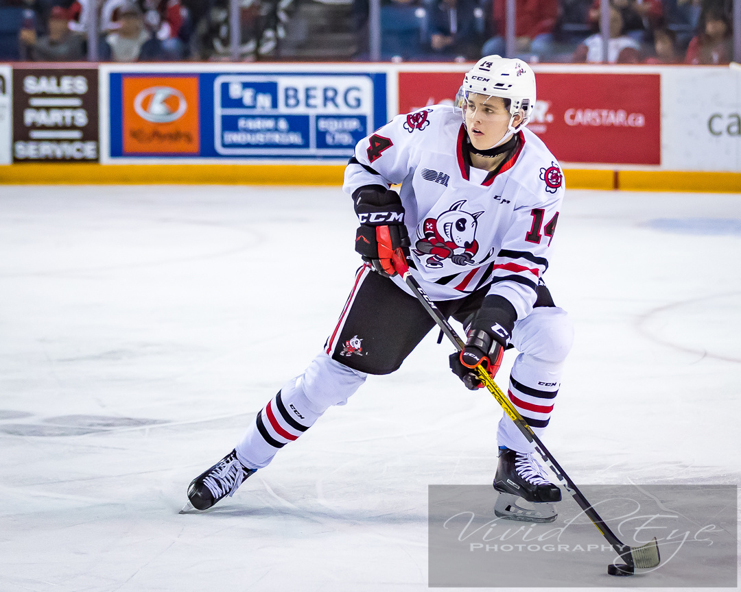 IceDogs Battle Hard Against High-Flying Petes, Coming Home with a Point ...