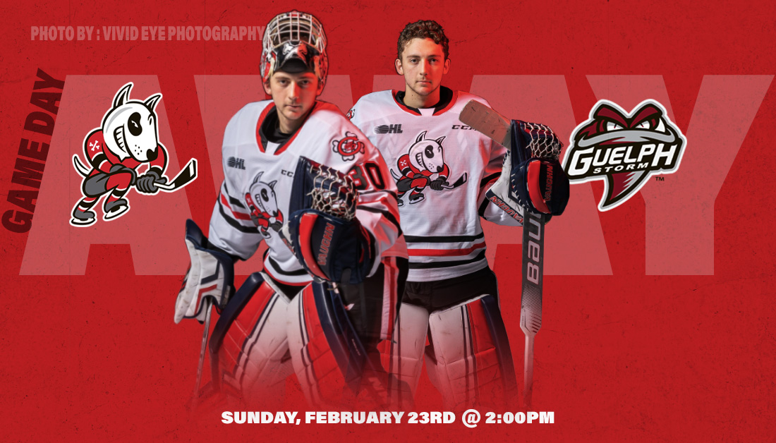 IceDogs Begin Three-Game Road Trip Sunday in Guelph - Niagara IceDogs