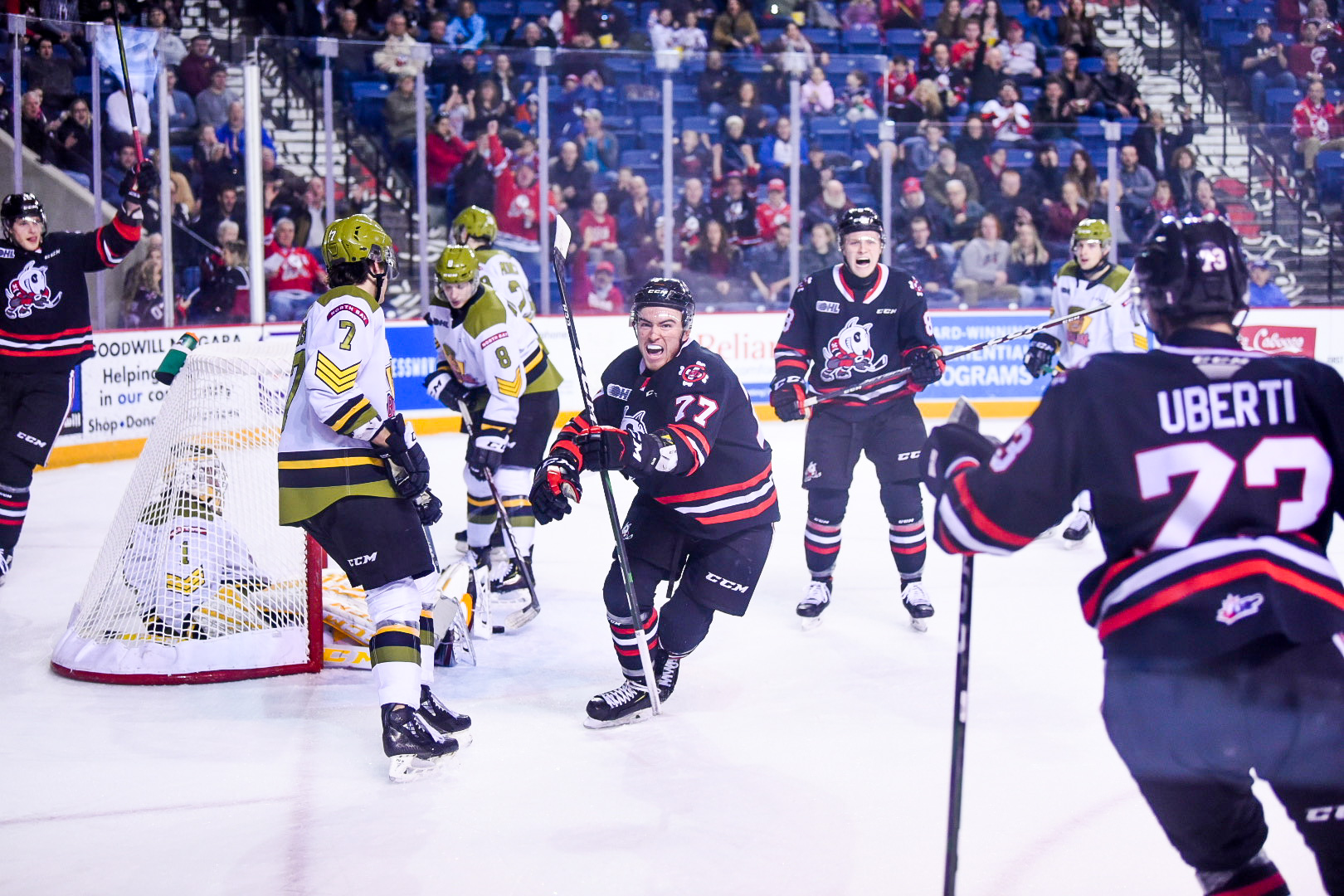 IceDogs Battle Hard is Loss to Battalion amidst Playoff Push - Niagara ...