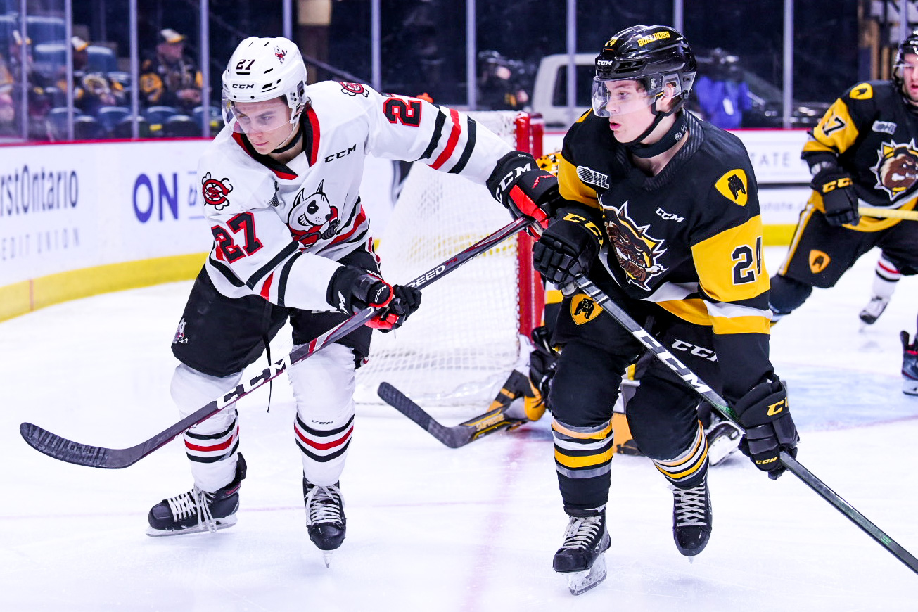 Cook reflects on playing for hometown team - Niagara IceDogs