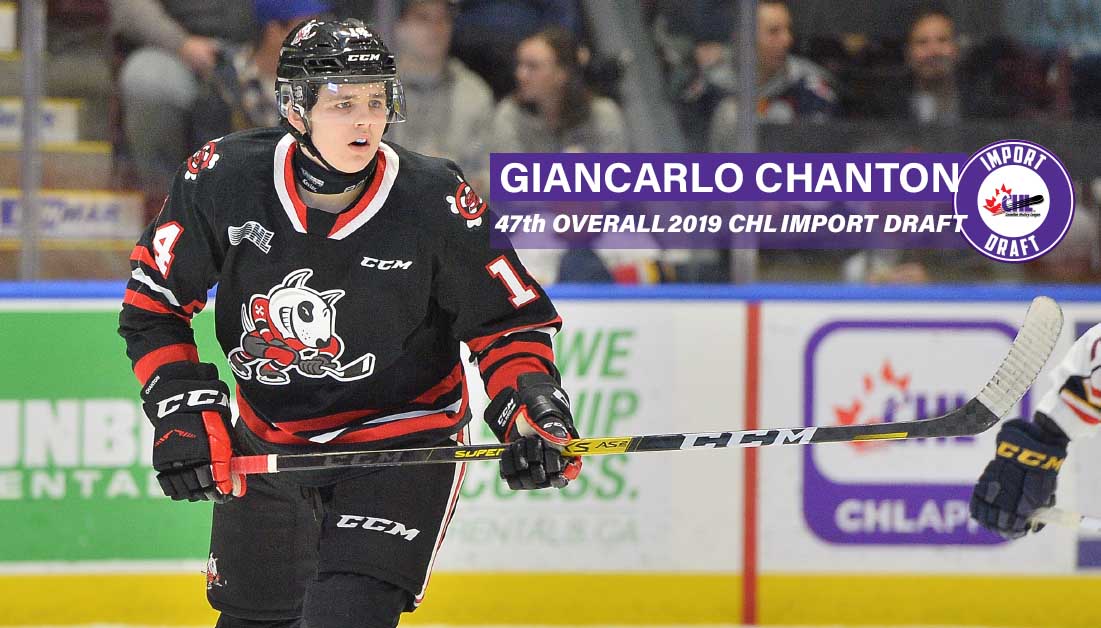 Looking Ahead : Chanton Reflects on CHL Import Draft - Niagara IceDogs