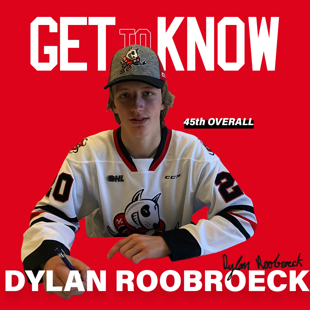 Get to Know : Dylan Roobroeck - Niagara IceDogs