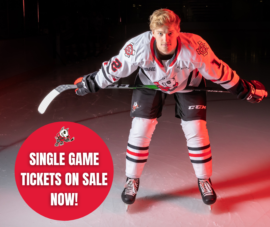 SINGLE GAME TICKETS ON SALE NOW! - Niagara IceDogs