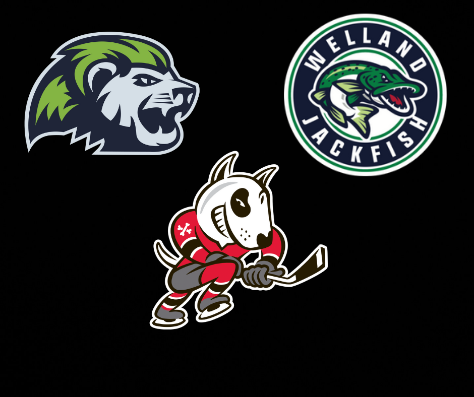 River Lions, IceDogs and Jackfish Partner to Launch “Ultimate Niagara ...
