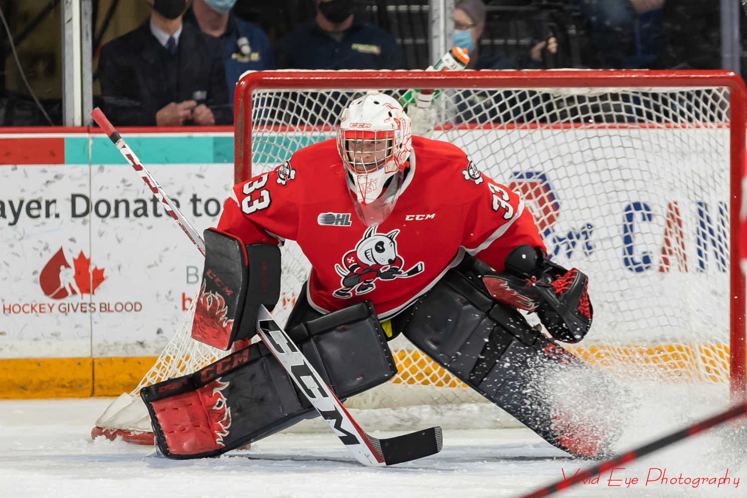 Joey Costanzo Named OHL Goaltender of the Week - Niagara IceDogs