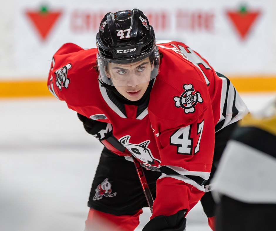 A Look Back at the 2021 OHL Draft - Niagara IceDogs