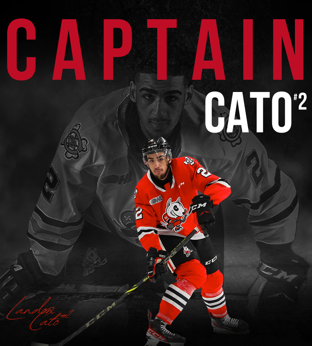 IceDogs Name Landon Cato Captain - Niagara IceDogs