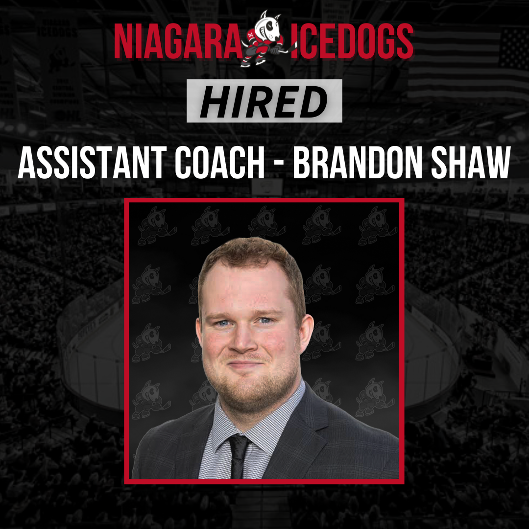 IceDogs Name Brandon Shaw Assistant Coach - Niagara IceDogs