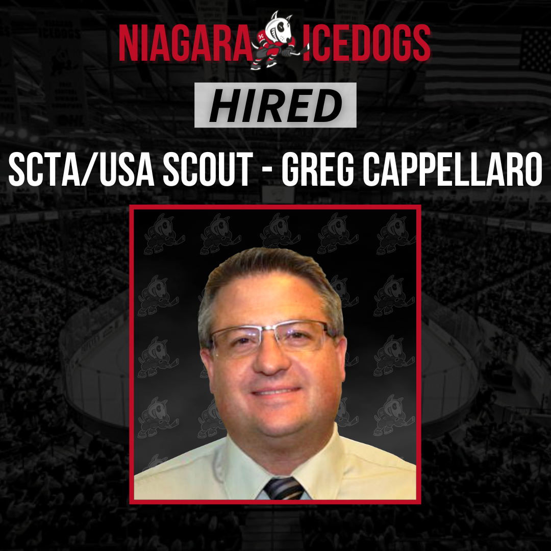 IceDogs Announce Greg Cappellaro as SCTA/USA Scout - Niagara IceDogs