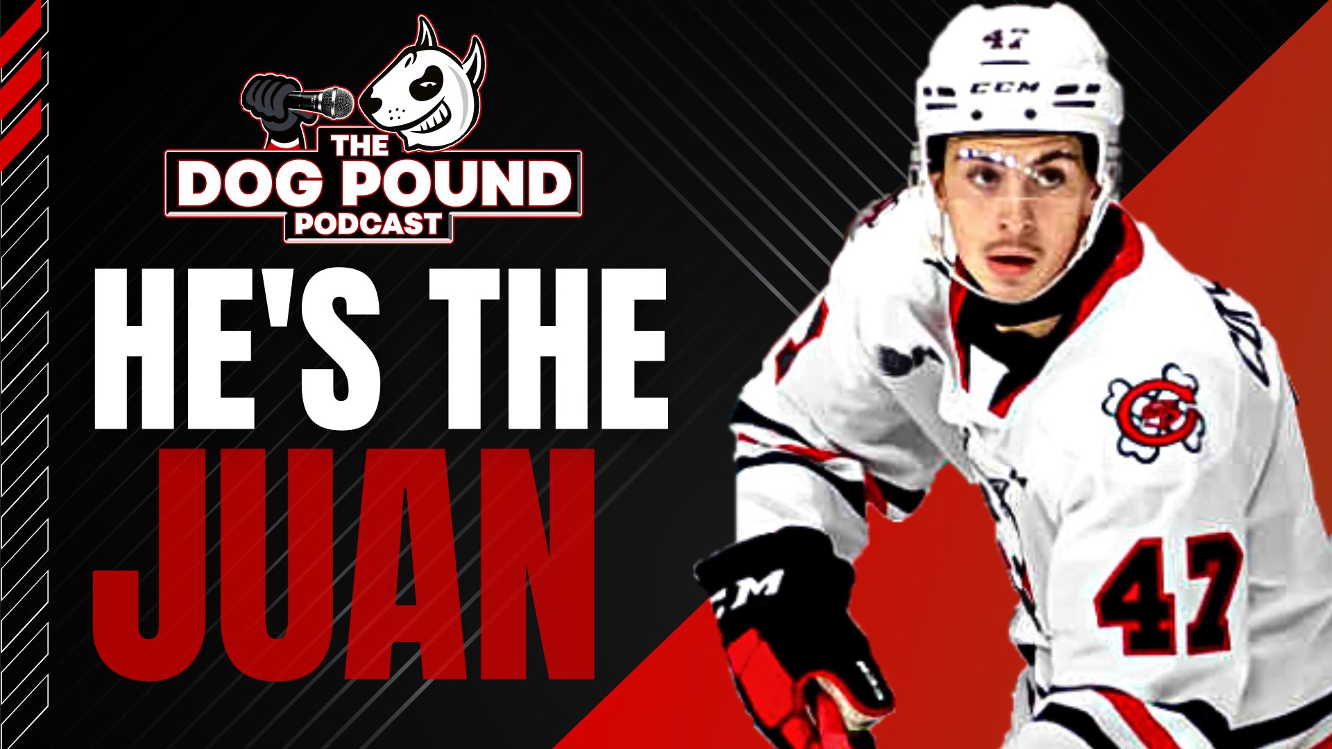 The Dog Pound Podcast: He's the Juan (NEW EPISODE) - Niagara IceDogs