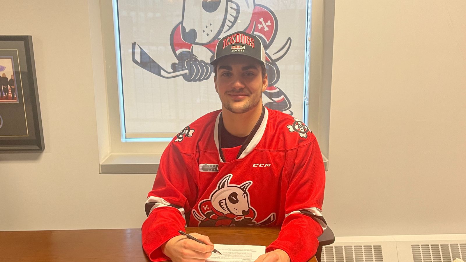 Niagara IceDogs sign Gabriel Runco - Niagara IceDogs