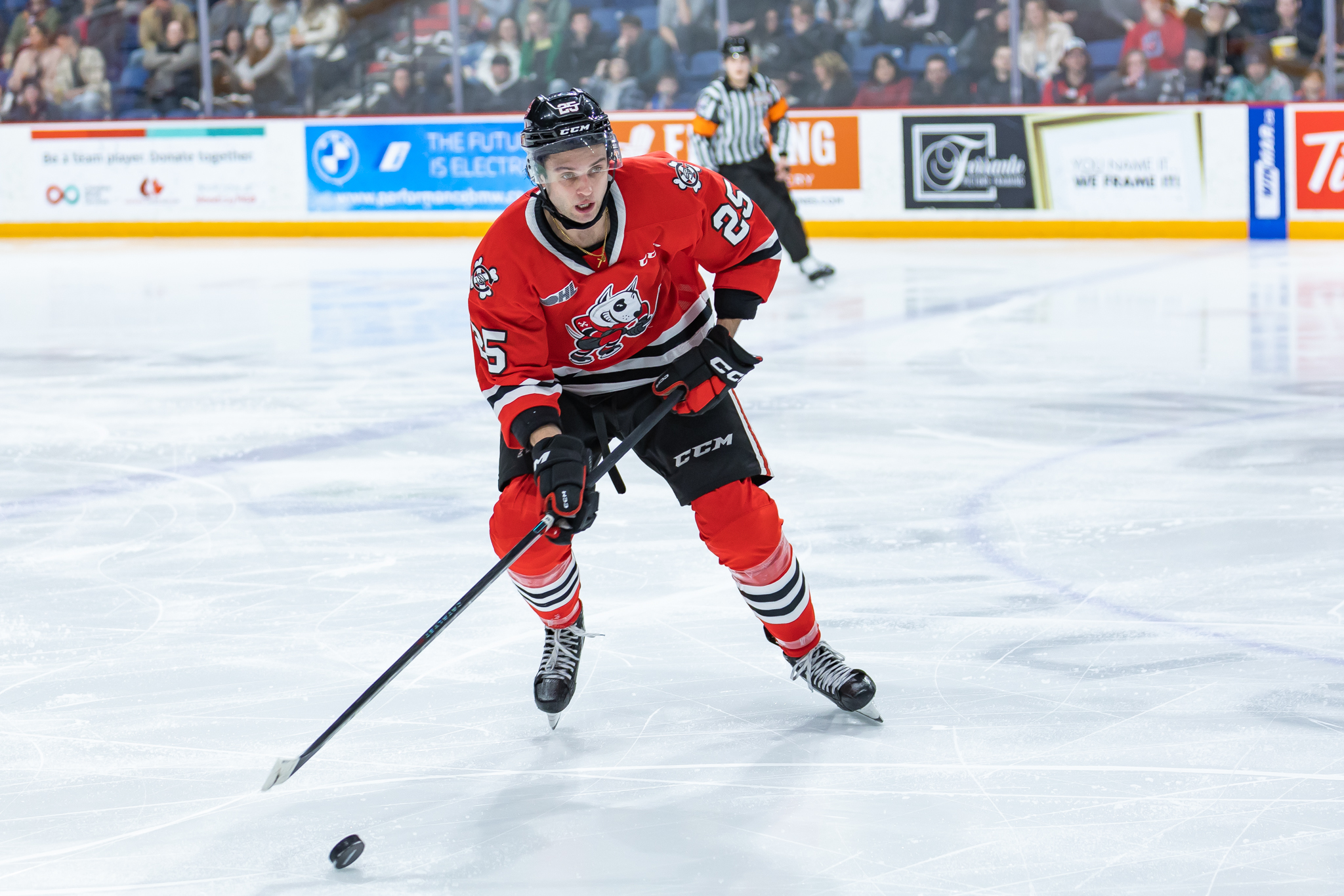 Too Little Too Late in 5-goal output for the IceDogs - Niagara IceDogs