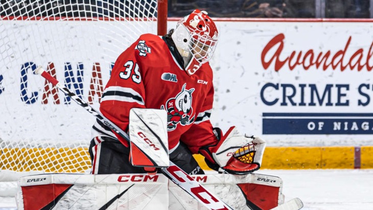 IceDogs' Flores Ranked On NHL Central Scouting Final List - Niagara IceDogs