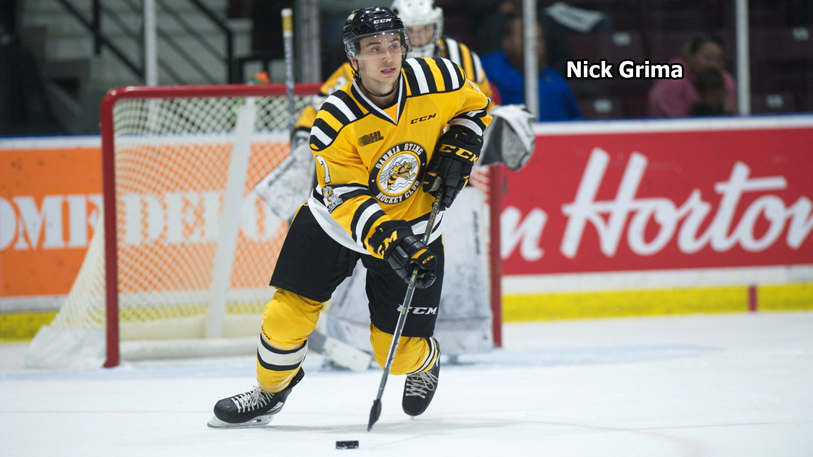 Battalion gets Grima - North Bay Battalion