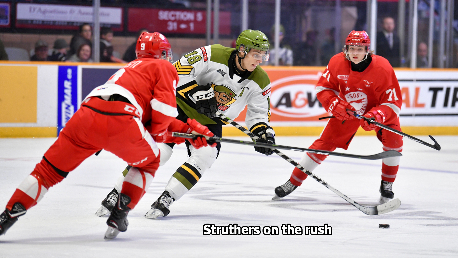 Troops feast on 'Hounds - North Bay Battalion