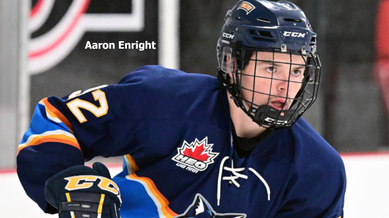 Battalion adds 17 to fold - North Bay Battalion