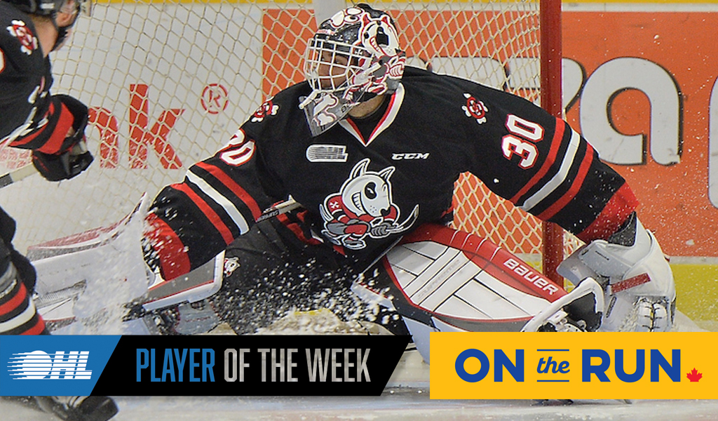 OHL 'On the Run' Player of the Week: Stephen Dhillon - Niagara IceDogs