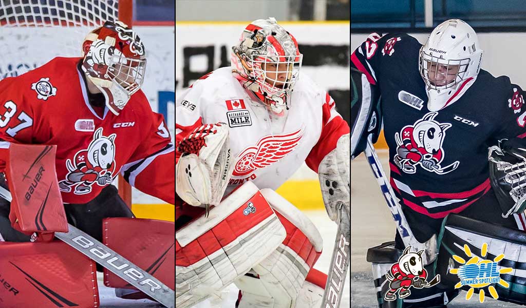 OHL 20 in 20 Summer Spotlight: Opportunity knocks in Niagara - Niagara ...