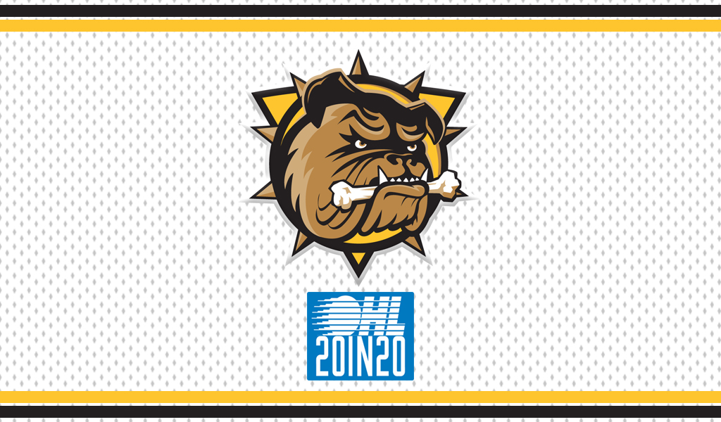 OHL 20 in 20 Season Preview: Hamilton Bulldogs - Ontario Hockey League