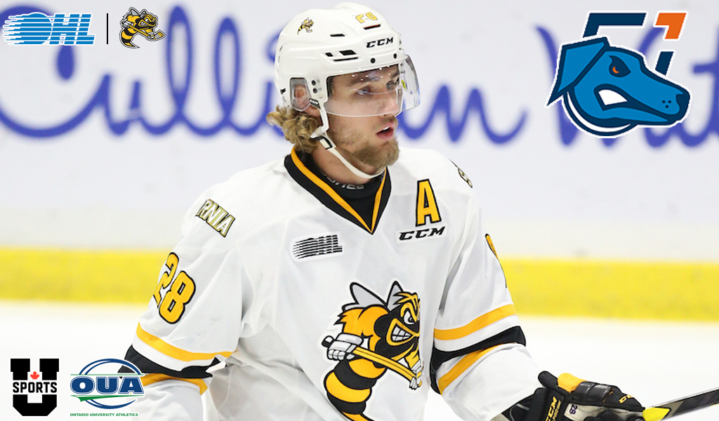 Sting graduate Hatcher commits to Ontario Tech - Sarnia Sting