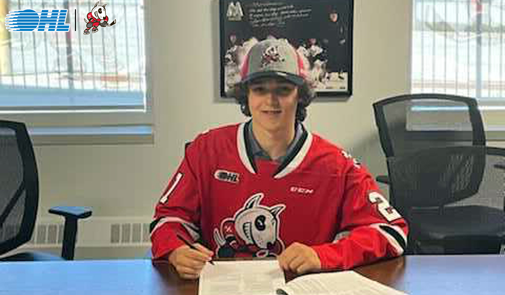 Declan Waddick commits to IceDogs - Ontario Hockey League