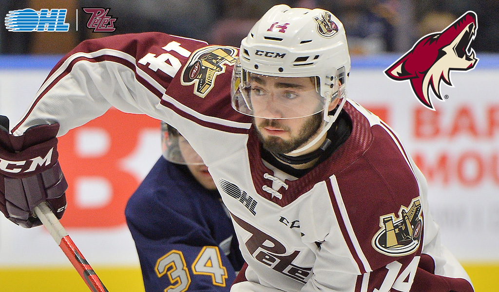 Petes grad Liam Kirk signs with Coyotes - Ontario Hockey League