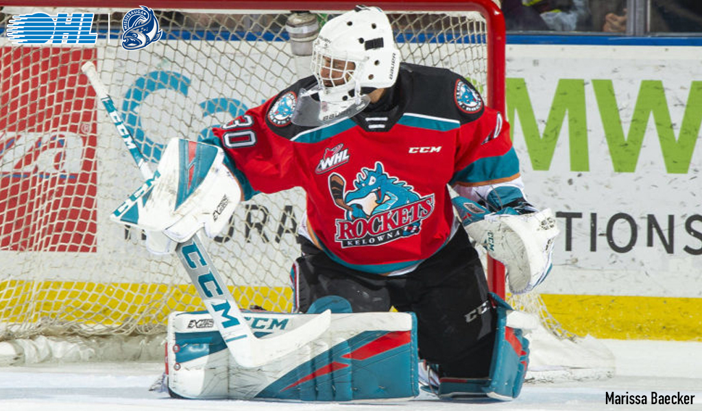Steelheads add veteran netminder Roman Basran | Canadian Hockey League