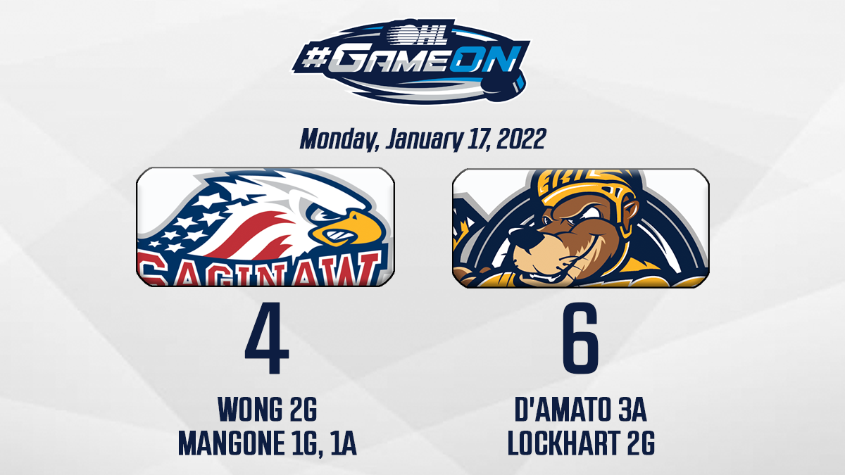 CHL TV Game of the Week presented by Kubota | Jan. 17/22 – SAG (4) – ER ...