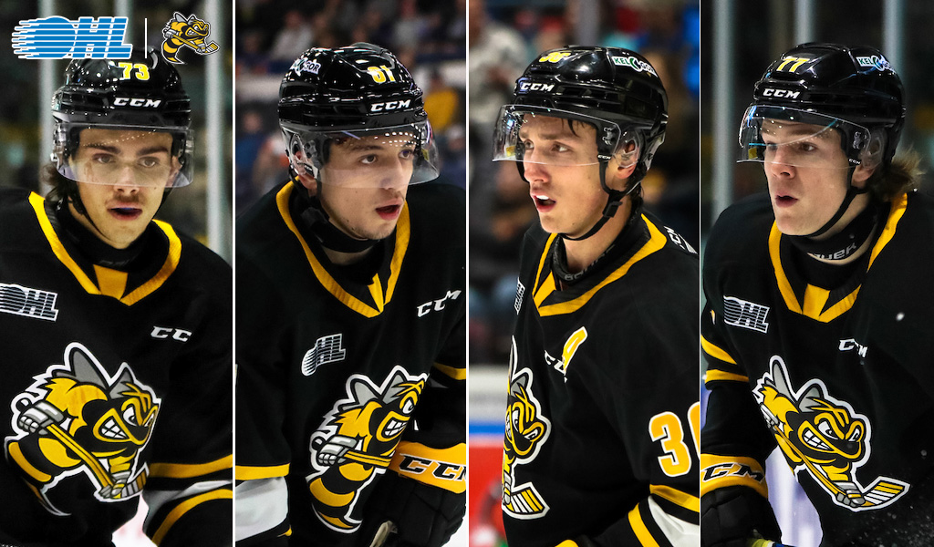 Confidence of new look Sting continues to grow - Sarnia Sting
