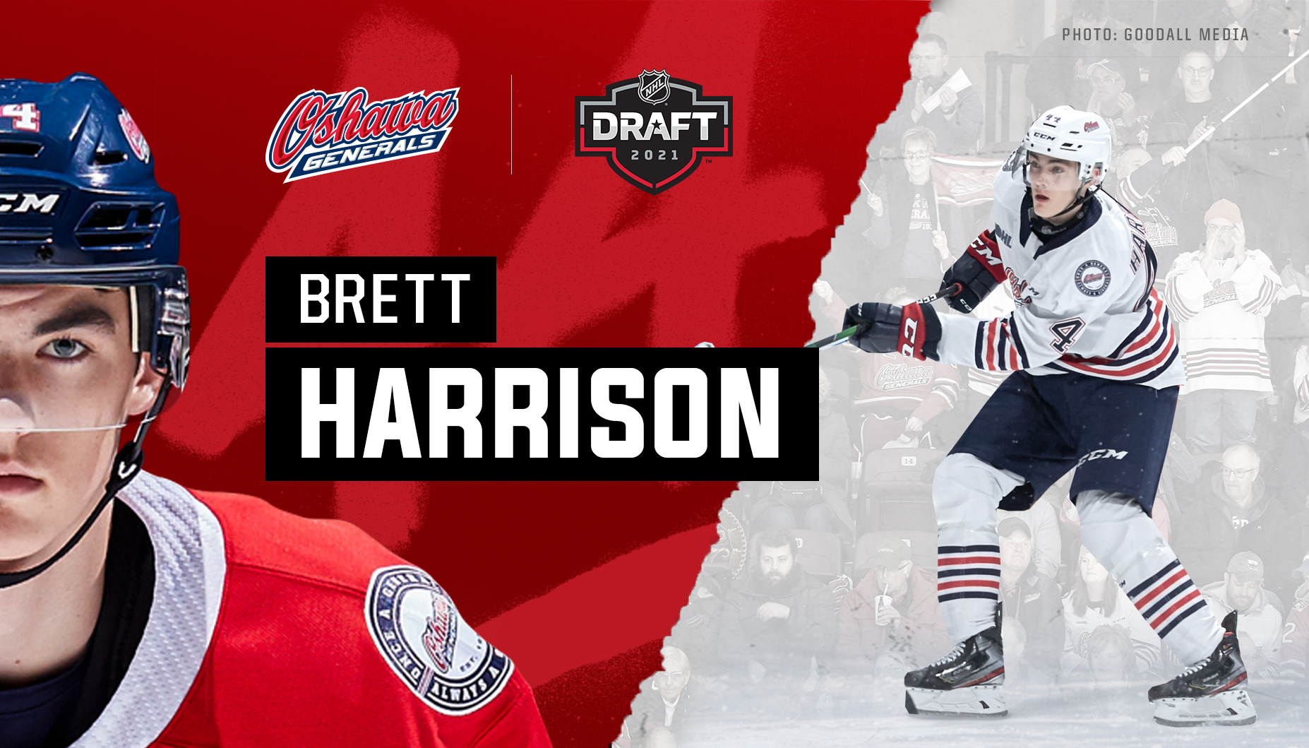 Brett Harrison is ready to be the difference for an NHL organization ...