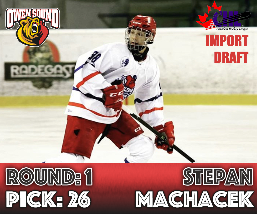 Attack add Stepan Machacek and Julian Straub in the CHL Import Draft ...