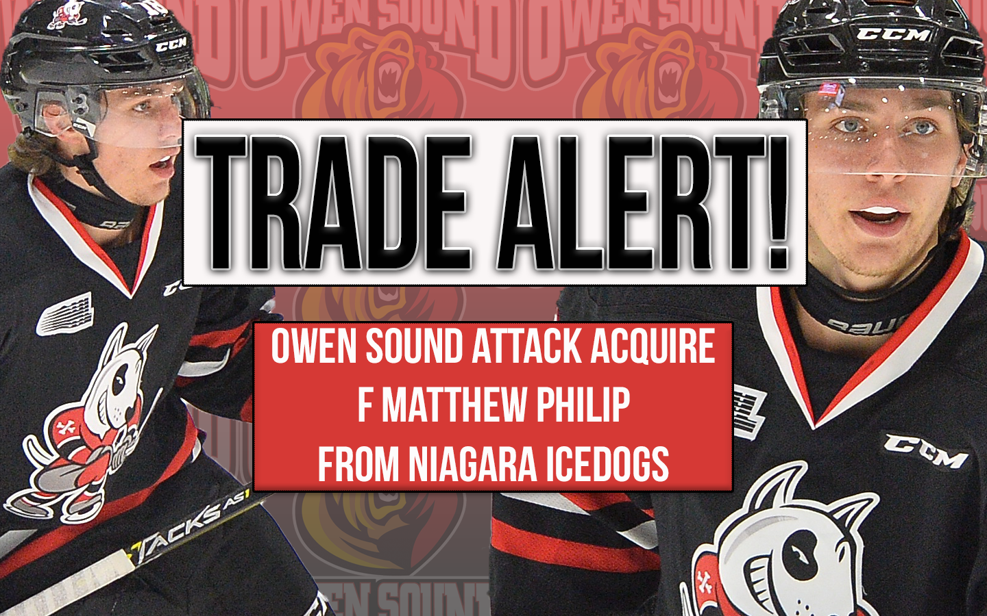 Attack acquire Matthew Philip from IceDogs - Owen Sound Attack