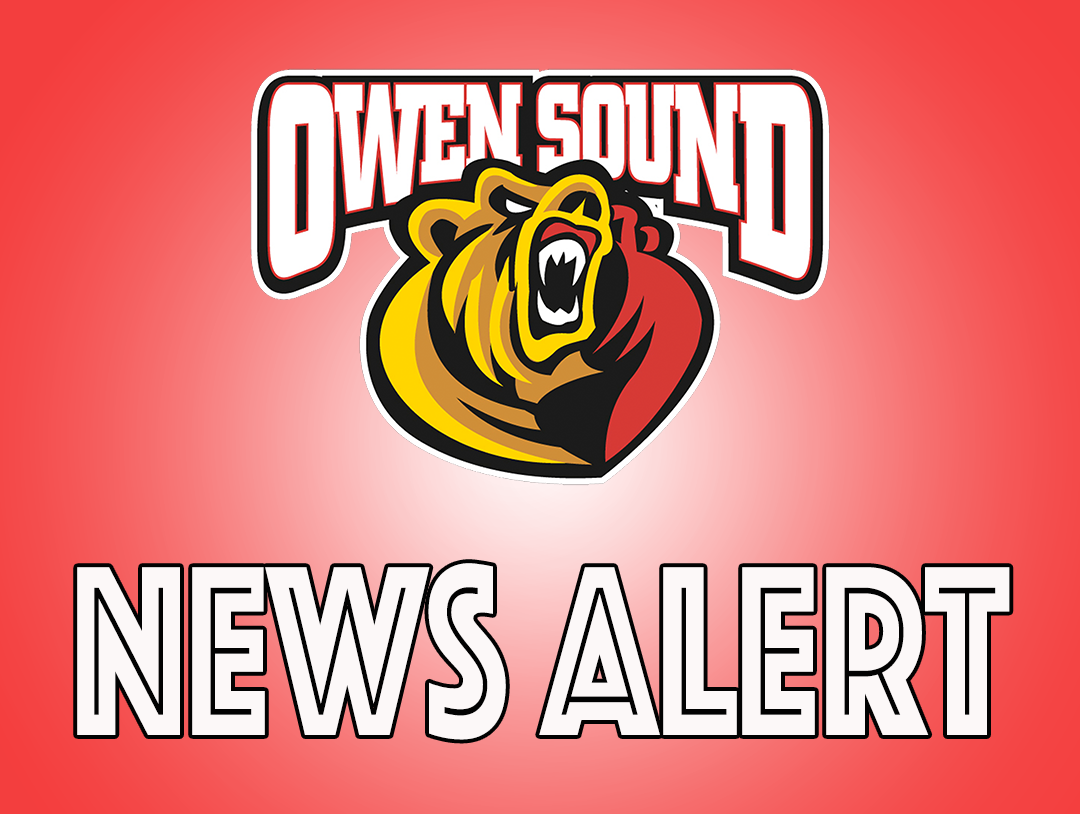 Attack Begin Search for New Goalie Coach - Owen Sound Attack