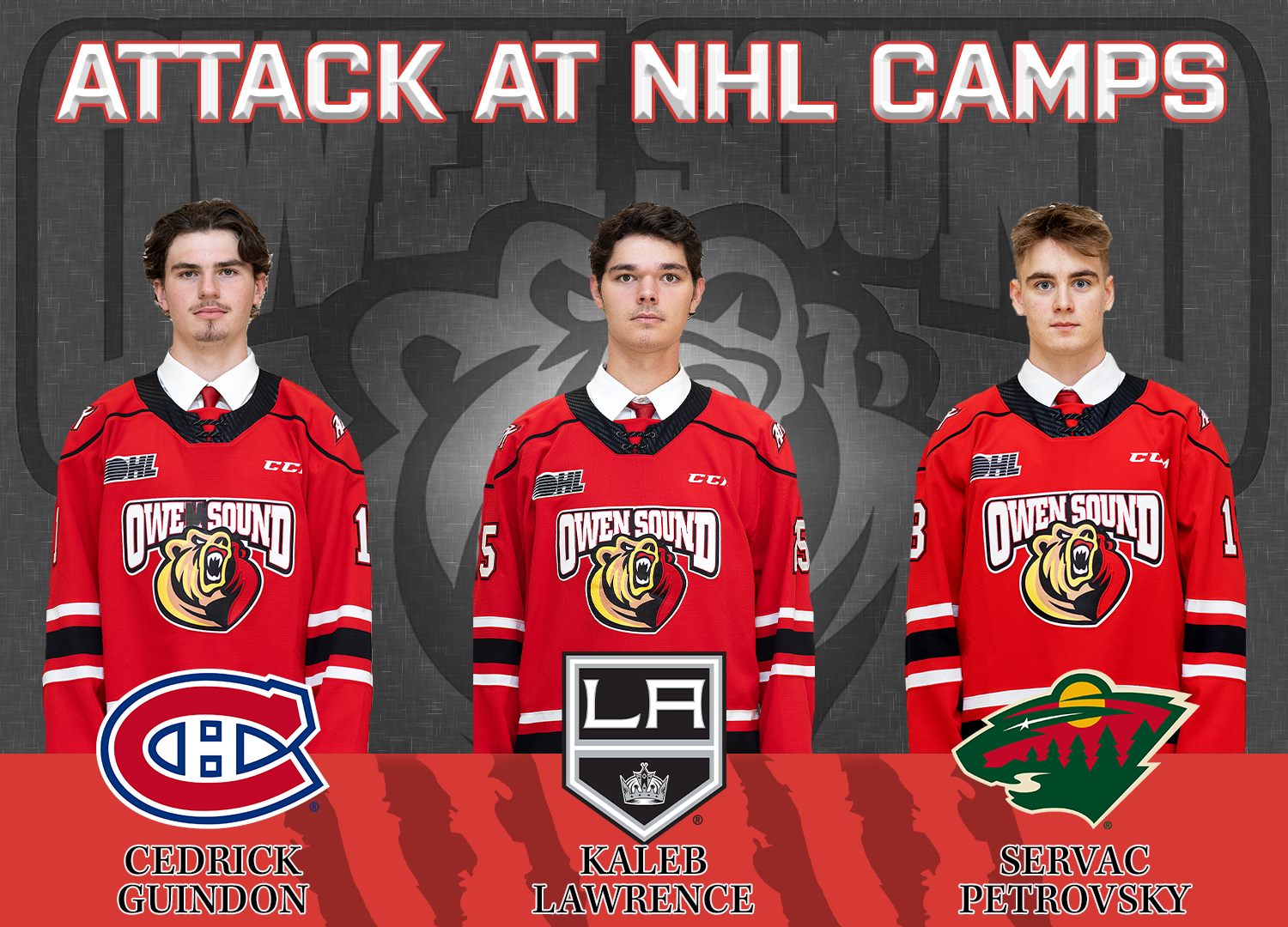 Attack Trio Headed to NHL Camps - Owen Sound Attack