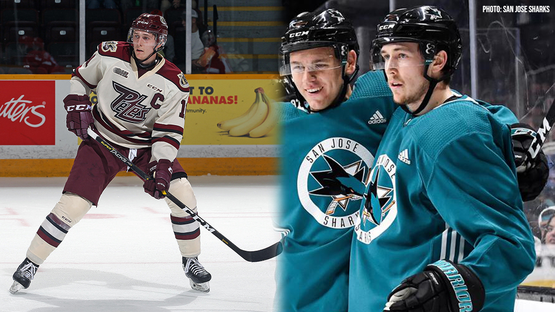 Zach Gallant Signs Entry-Level Contract with San Jose Sharks ...